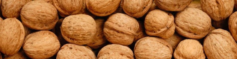 Walnut Allergy Test | Allergy testing