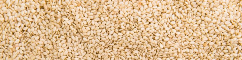 Sesame Seed Allergy Test | Allergy testing